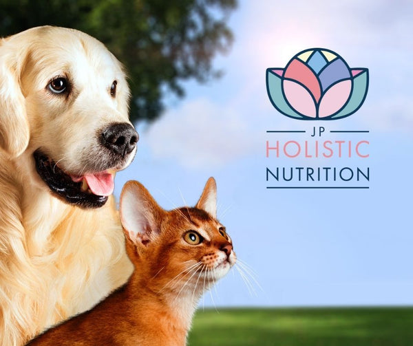 Dog & Cat Arthritis Supplements - JP's Natural Pet Supplements