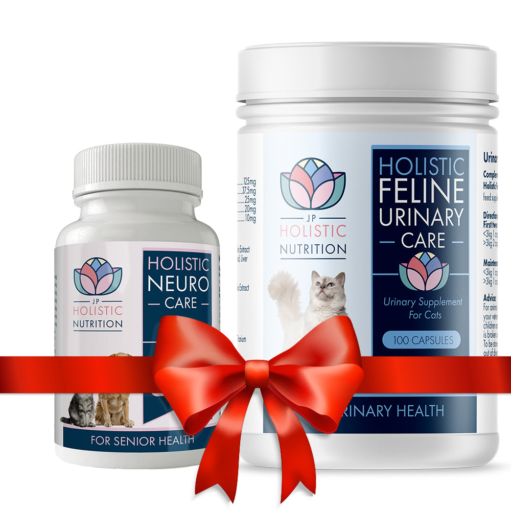 Digestion Supplements For Cats & Dogs - JP's Natural Pet Supplements